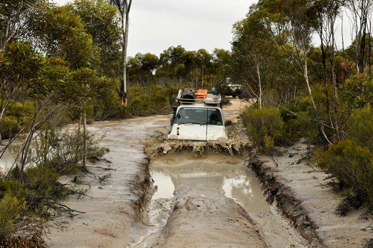 5 Essential Gear for Safe Water Crossings in Your 4x4