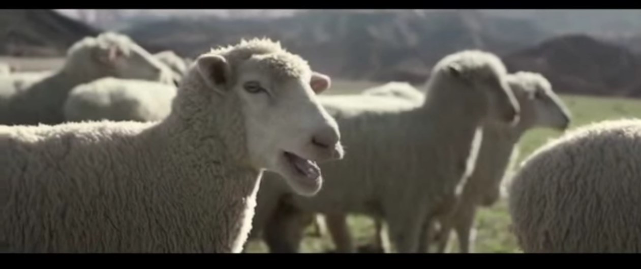 Honda's singing sheep - Super Bowl AD for Honda Ridgeline